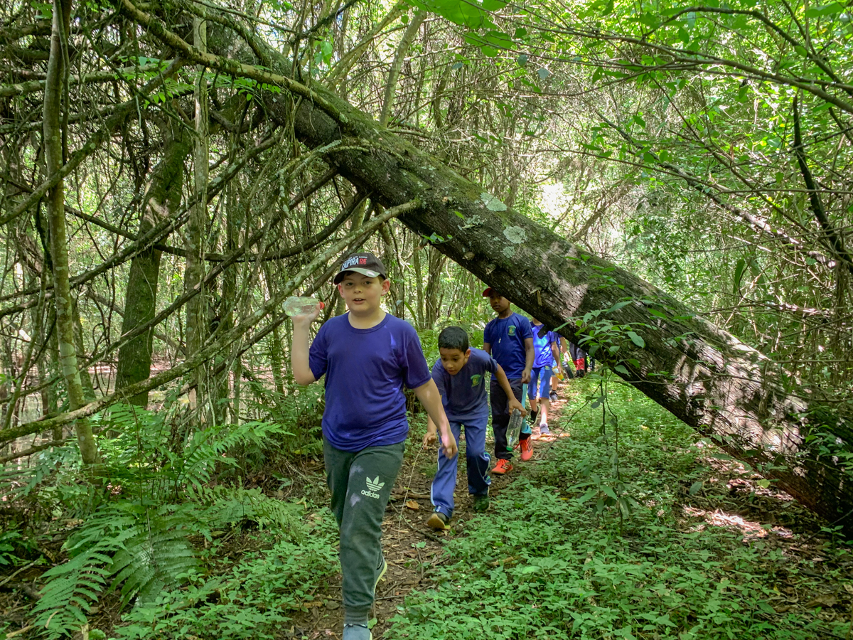 Trilhas ecológicas fortalecem o vínculo entre a UPF e a comunidade - UPF | Universidade de Passo ...